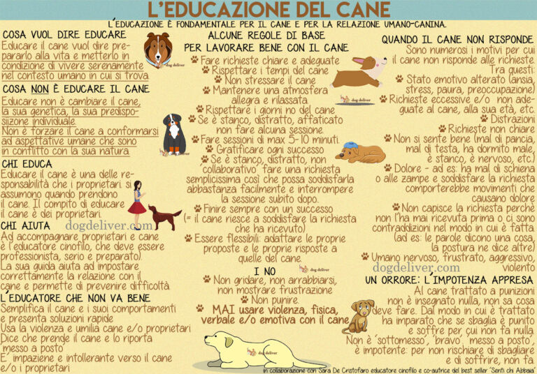 Consigli per educare il cane ed avere successo