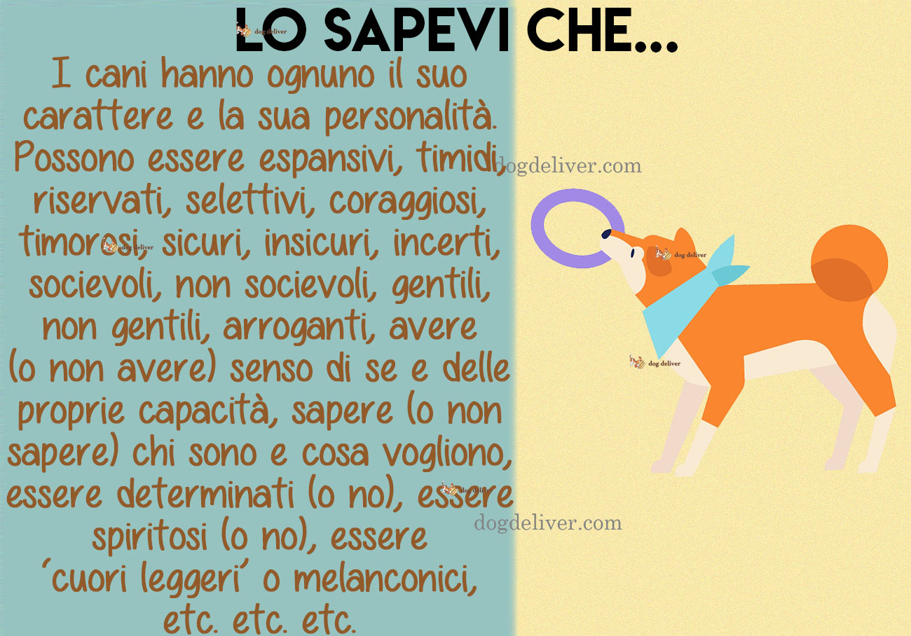 Il carattere e la personalità dei cani | Dogdeliver