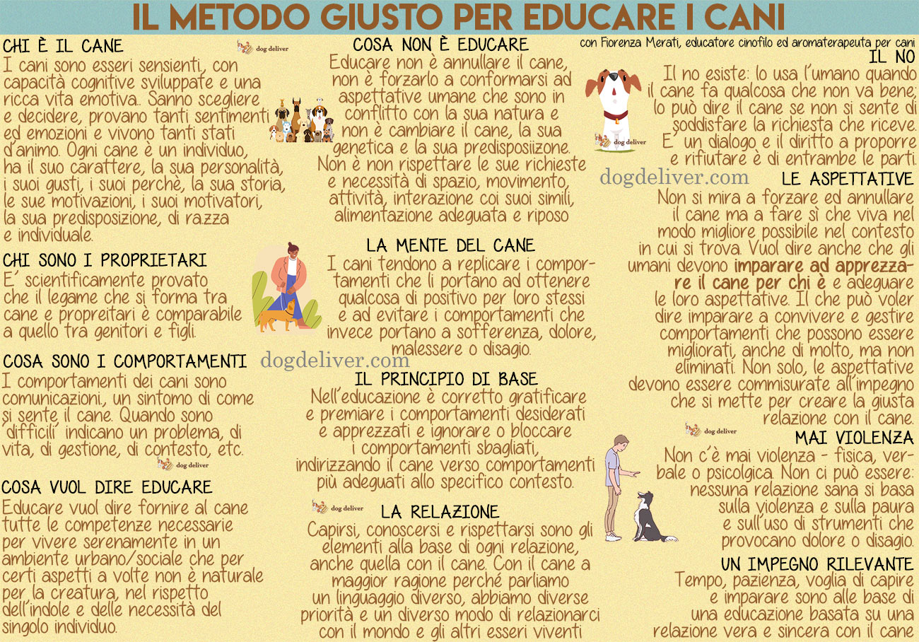 Qual è il metodo giusto per educare i cani | Dogdeliver