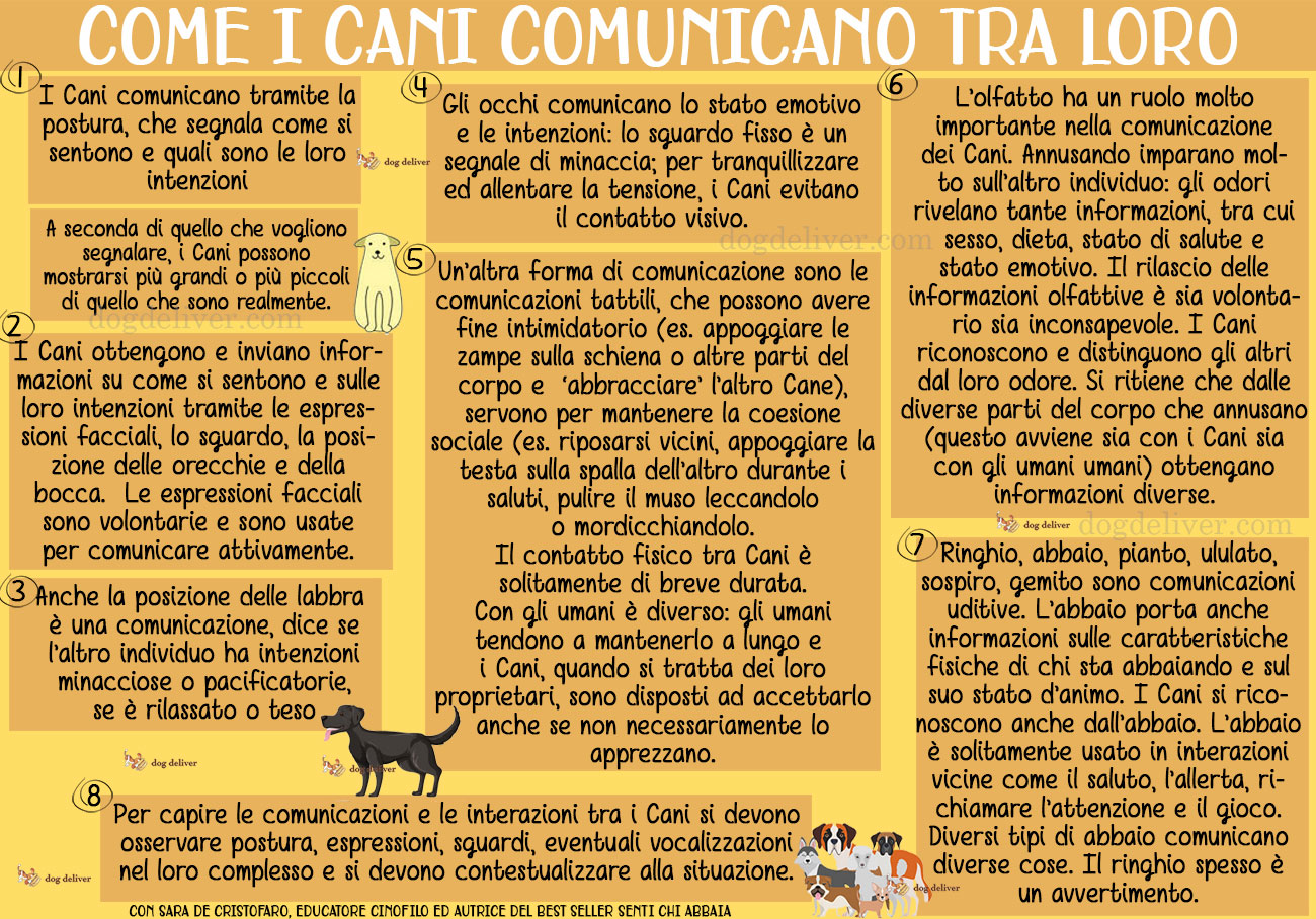 Come i Cani comunicano tra di loro | Dogdeliver